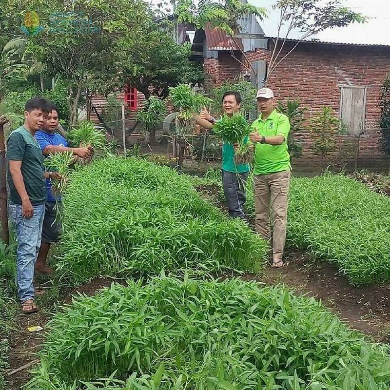 Yayasan Inisiatif Indonesia Biru Lestari (WAIBI)